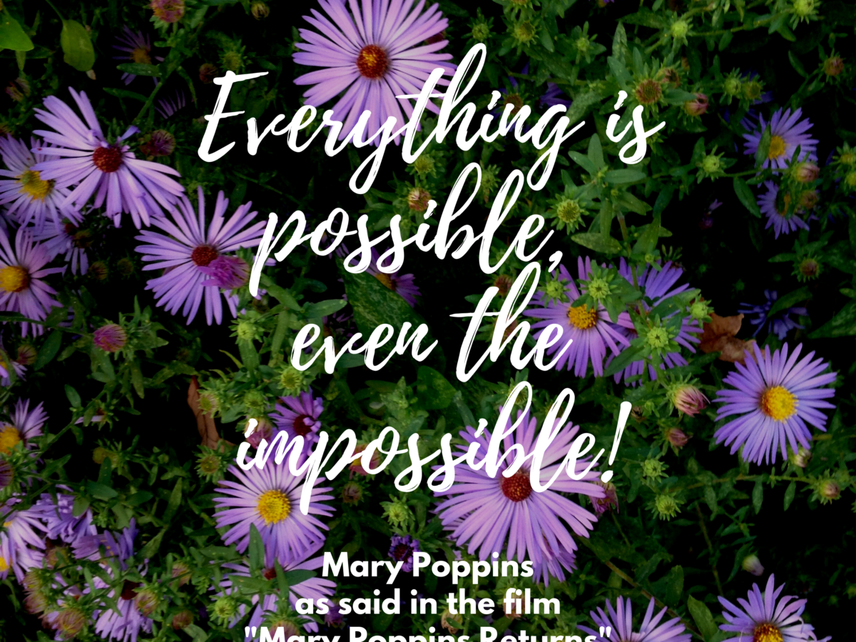 Everything Is Possible Even the Impossible | If You Have An Idea ...